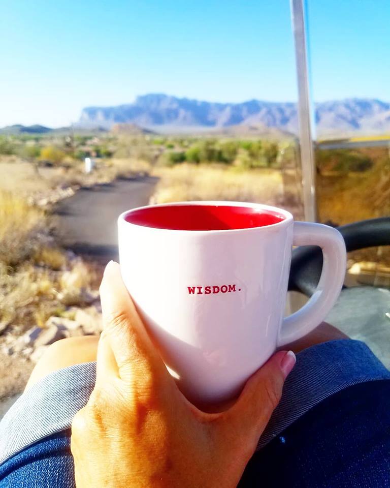 Wisdom over Wrinkles – Julie Shangle