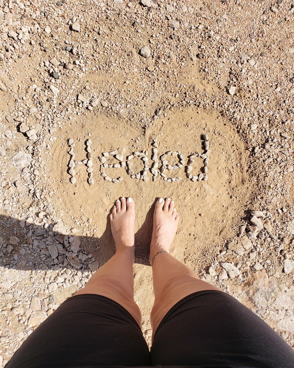 The Fight – Julie Shangle