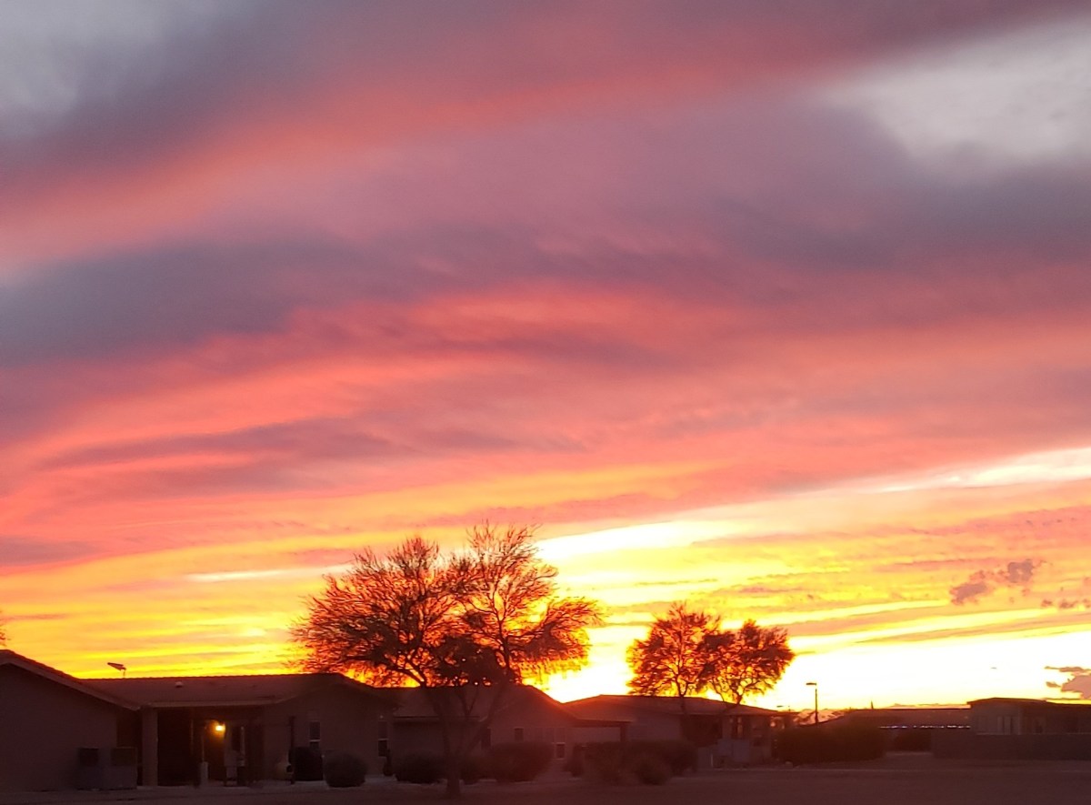 HOPE IS ALIVE – Julie Shangle